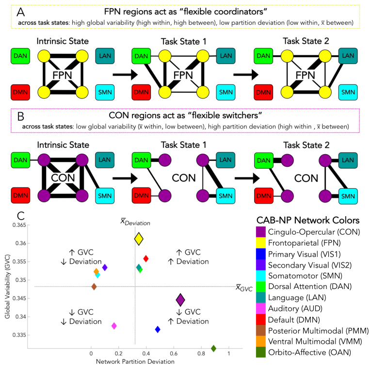 A network science cartography of cognitive control system dynamics ...
